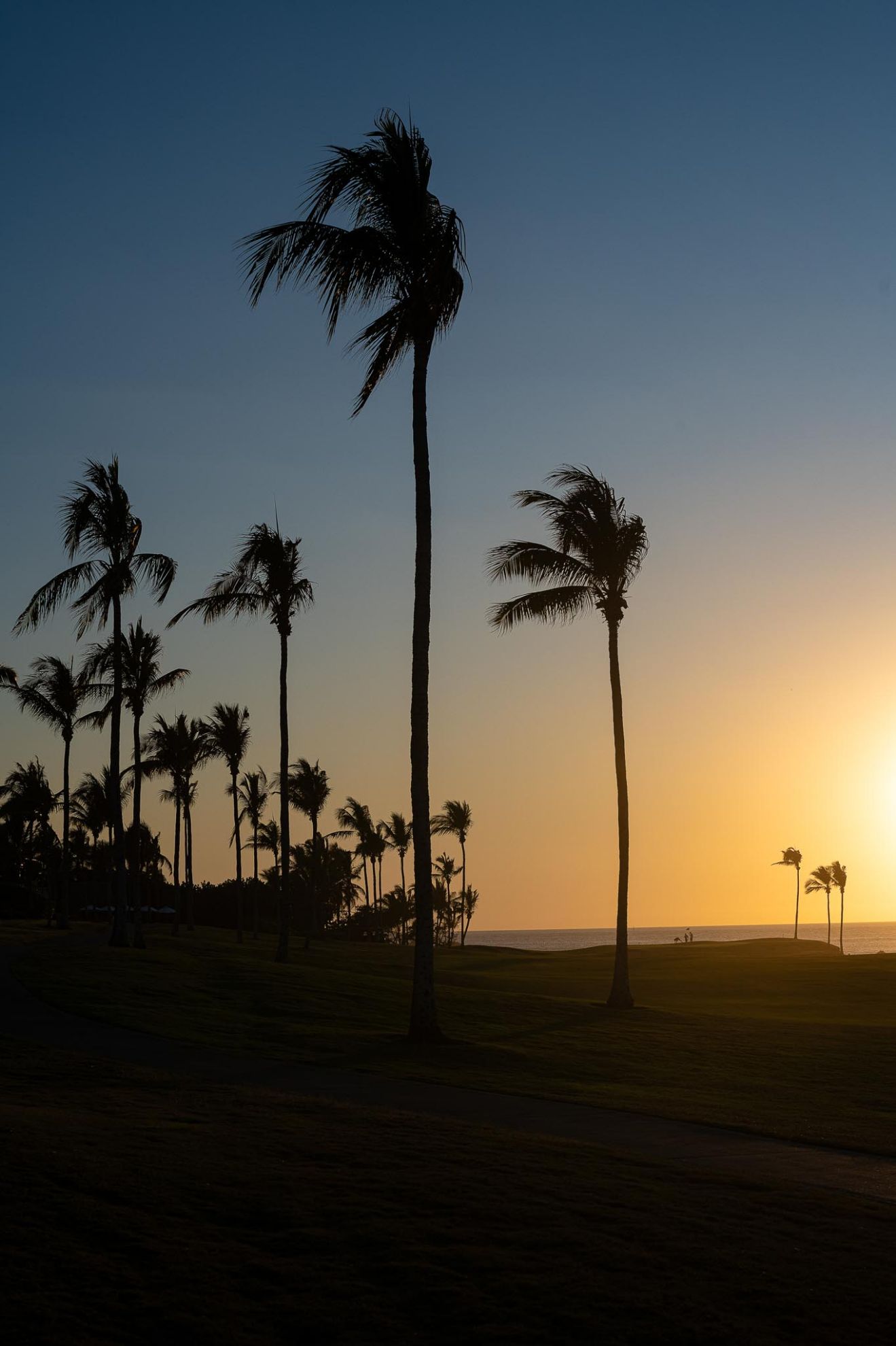 Punta Pacífico Sur – Luxury Beachfront Villa in Punta Mita | VEHM